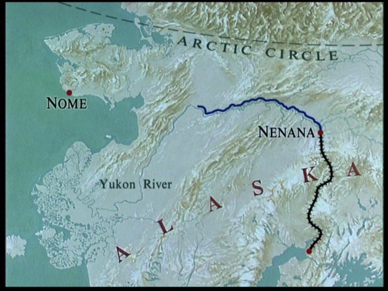 Io, Balto e lo sleddog - Ecoturismonline